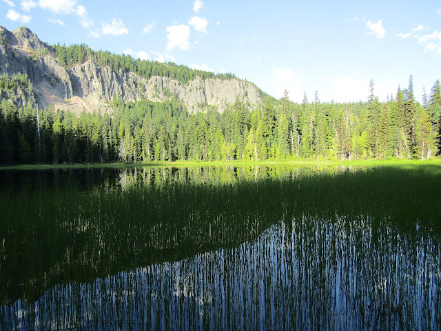 Holly's Horse Tales and Trails: Black Pine and Conrad Meadows Horse ...