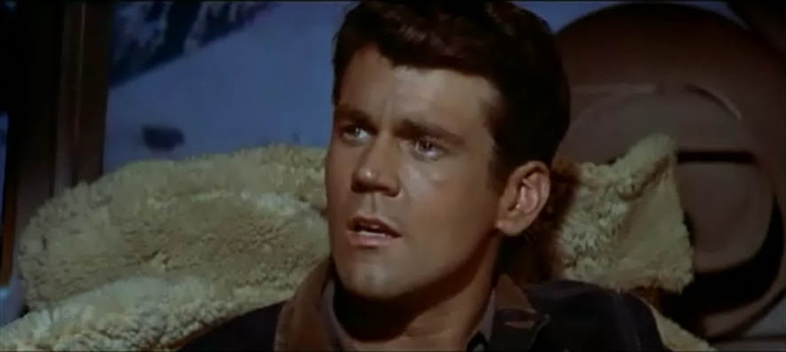 Best Actor: Best Supporting Actor 1956: Don Murray in Bus Stop