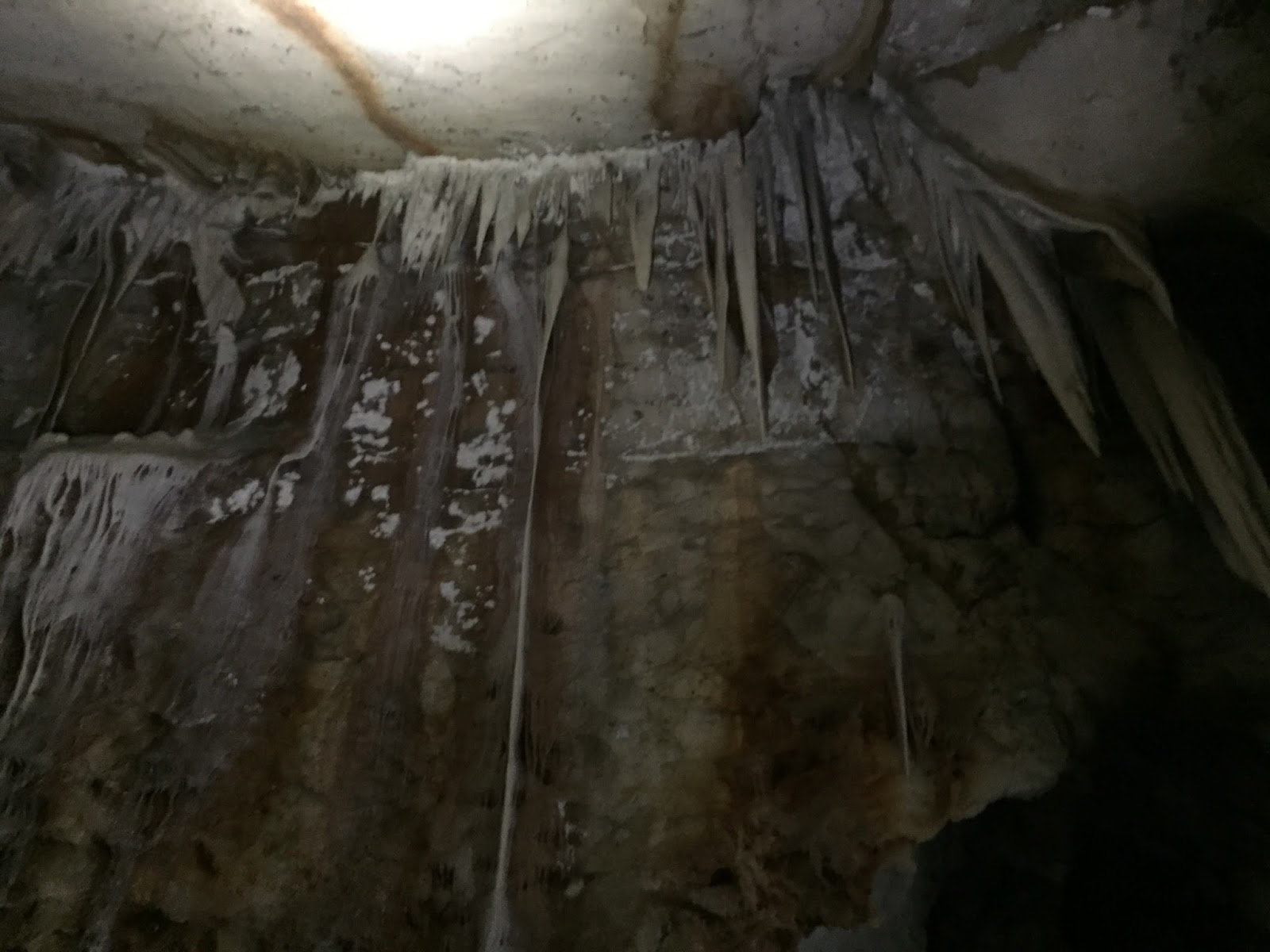 The Kruse Chronicles Continue in Cocoa, Florida: Caving again ...