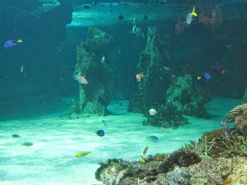 Namibia Reservations: National Marine Aquarium of Namibia