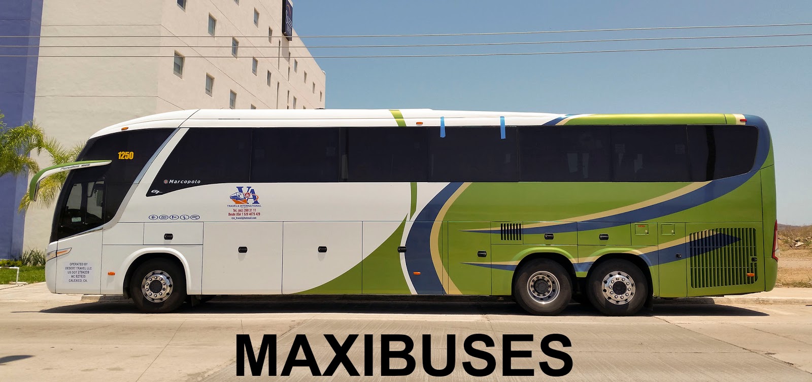 MAXIBUSES: AUTOBUSES V&A TRAVEL INTERNATIONAL (TURISMO)