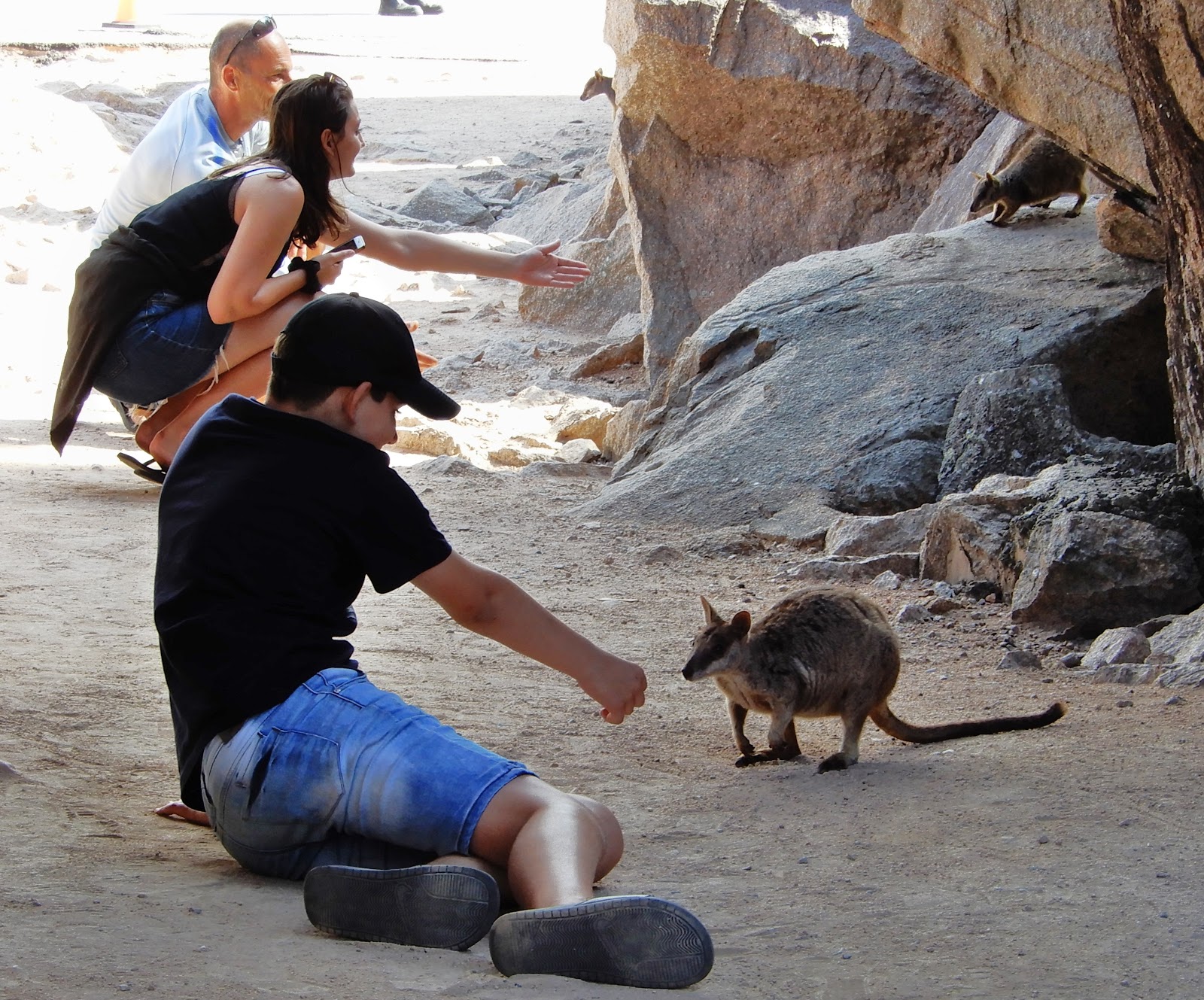Little Darwin: WALLABY LINE DANCERS