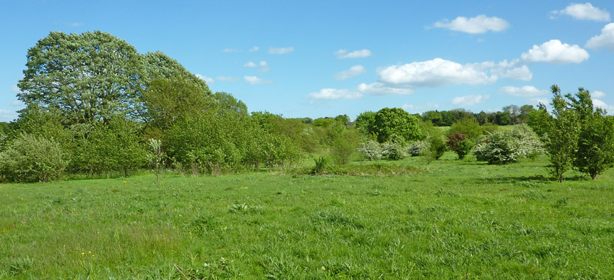 Priest Hill v Thorncombe Street