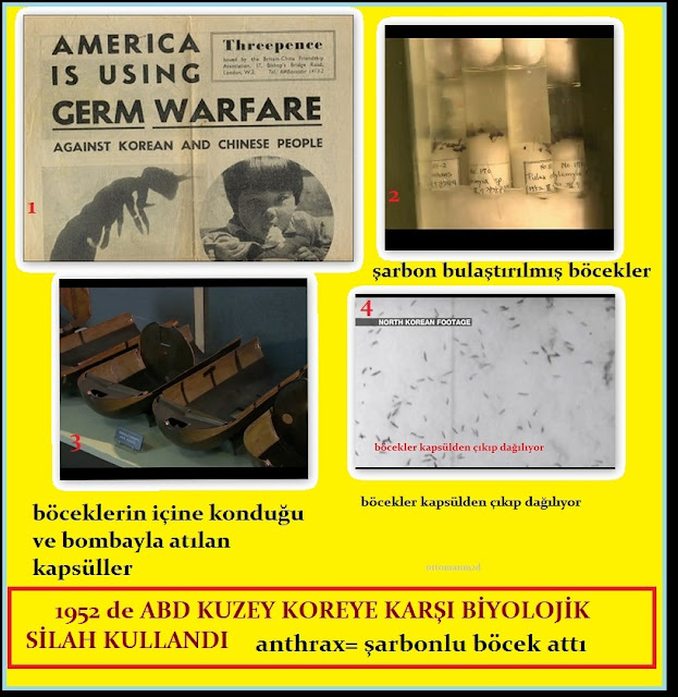 M2D: Project MKNAOMI