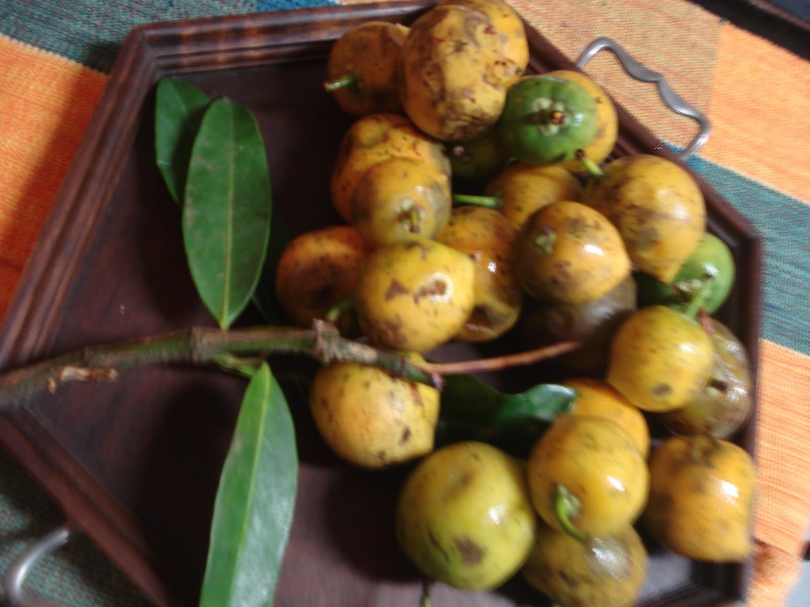 GELÉIA COM FRUTO "GULOSA DA MATA ATLÂNTICA"