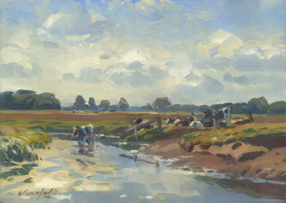 Zitten in de Zon: Hans Versfelt: serie met koeien