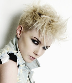 Fashion Style's Blog: Popular And Different Types Of Punk Hairstyles ...