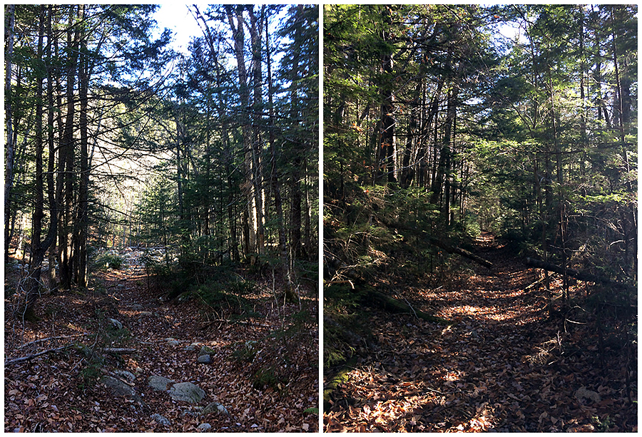 Hiking in the White Mountains: Livermore Pass and the Old Town of ...