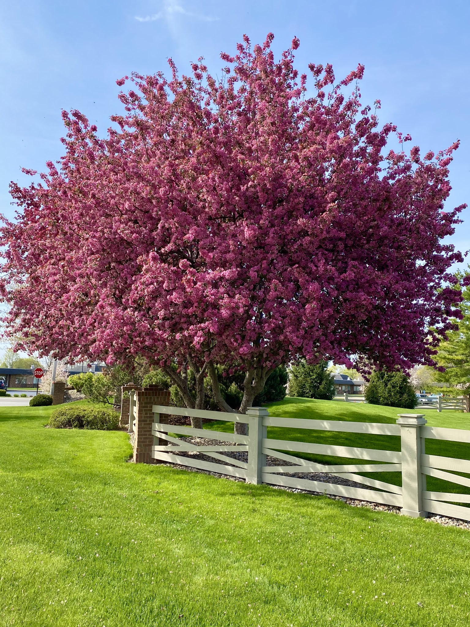 Living on Cloud Nine: FRIDAY FAVORITES...BYE APRIL