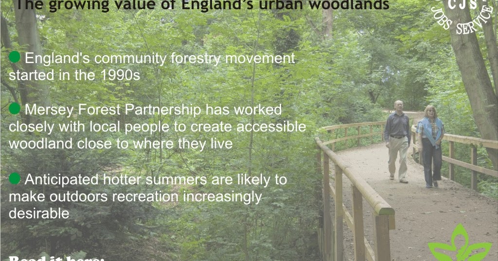 The growing value of England’s urban woodlands