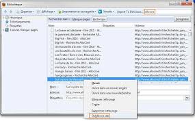 Afficher historique google - Astucesinformatique