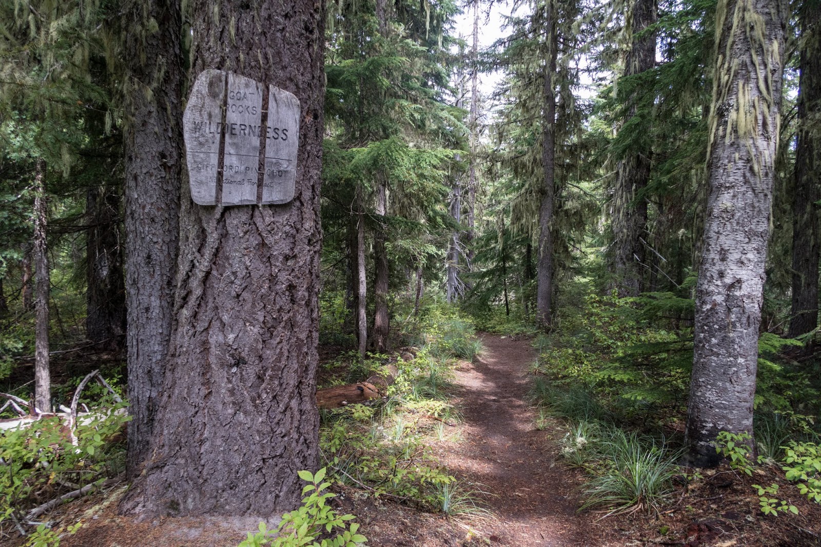 Eric's Hikes: Goat Rocks Wilderness: Goat Lake Loop and Old Snowy
