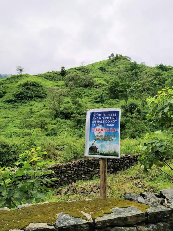 Indian Roadie: Road trip to Tabakoshi, about 8 kms beyond Mirik ...