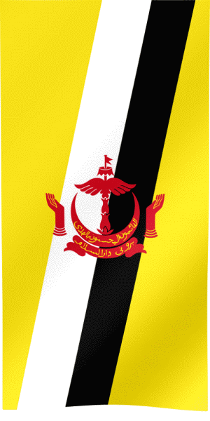 Flag of Brunei (GIF) - All Waving Flags