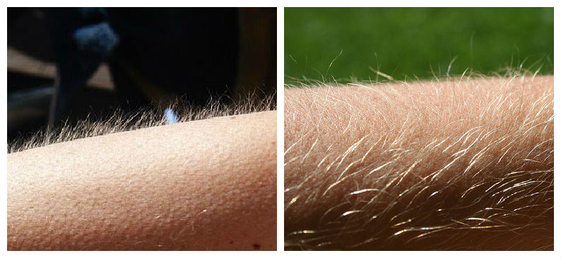¿SABES POR QUÉ EL PELO DE LA CABEZA CRECE MÁS QUE EL DEL RESTO DEL ...