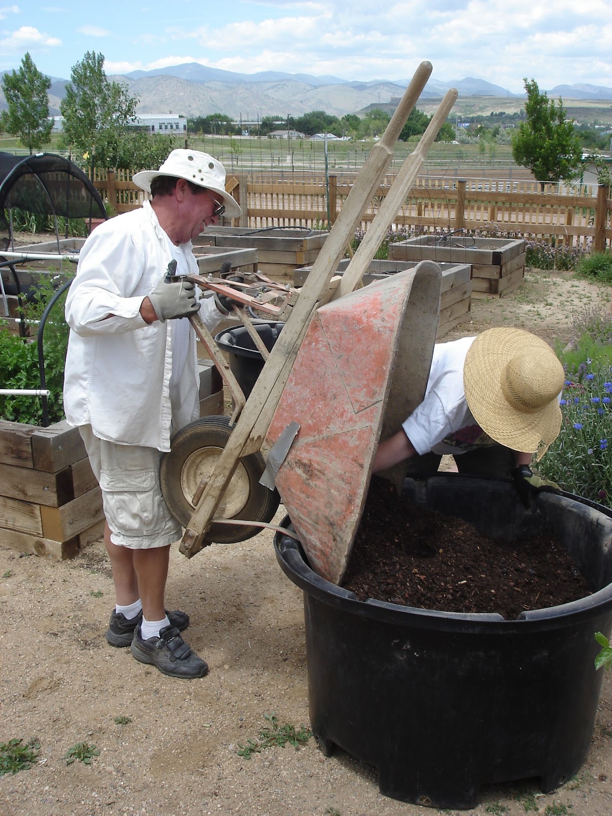 JeffCo Master Gardeners: Crops in Pots: Lessons from the Demonstration ...