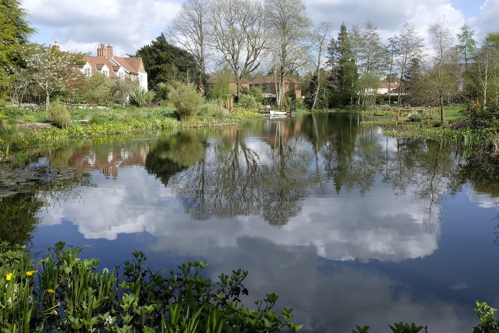 Dale Farm Garden: Pond Side Colour