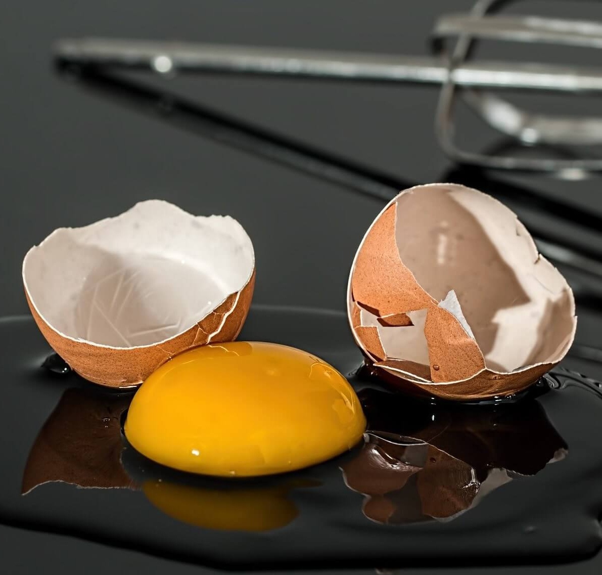 Tahu? Tentang Telur? Cara Pemberian? Cara Memasak? - mainecoon.id