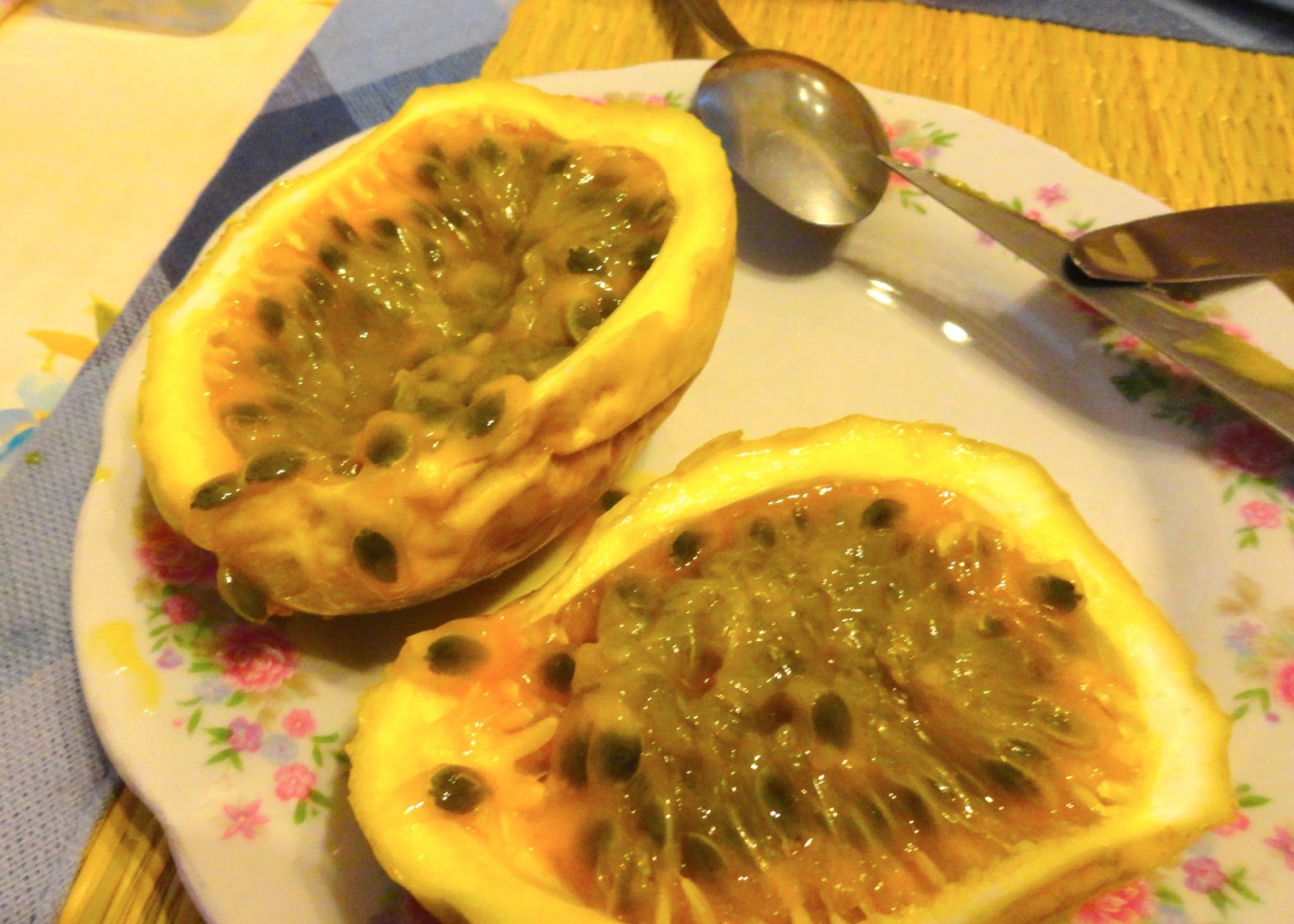 Una adventura chilena