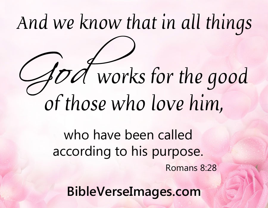 Healing Scars Ministry: Day 17 - God Promises: Romans 8:28