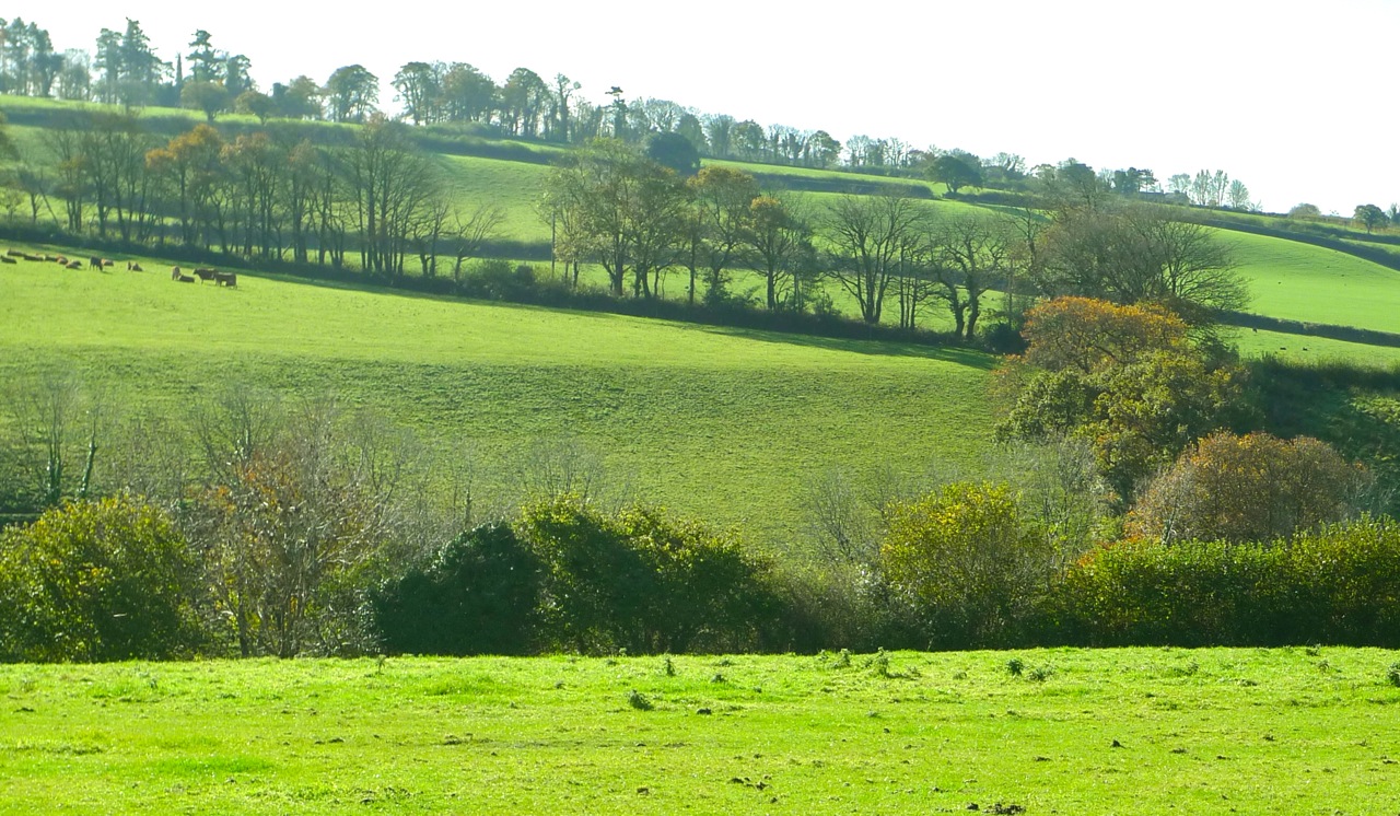 Gardening And Nature Therapy