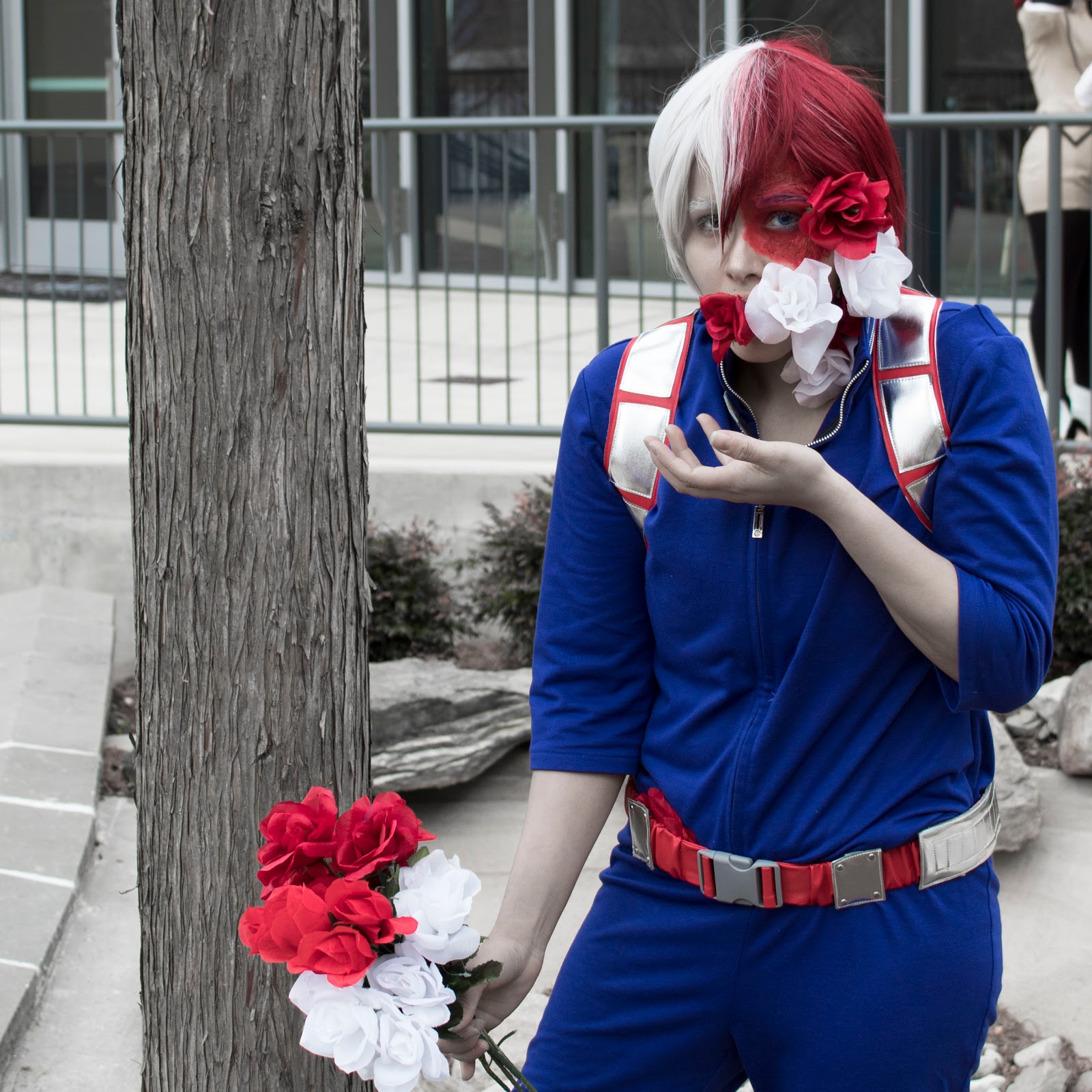 Haki Disease Shoto Todoroki cosplay Photoshoot with mistress.america