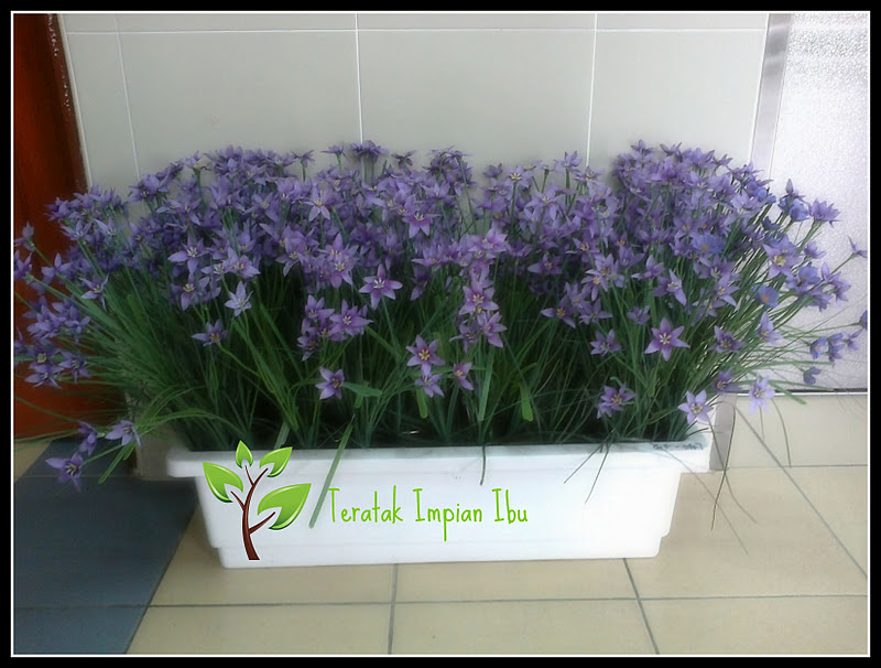 Bunga dalam pasu....