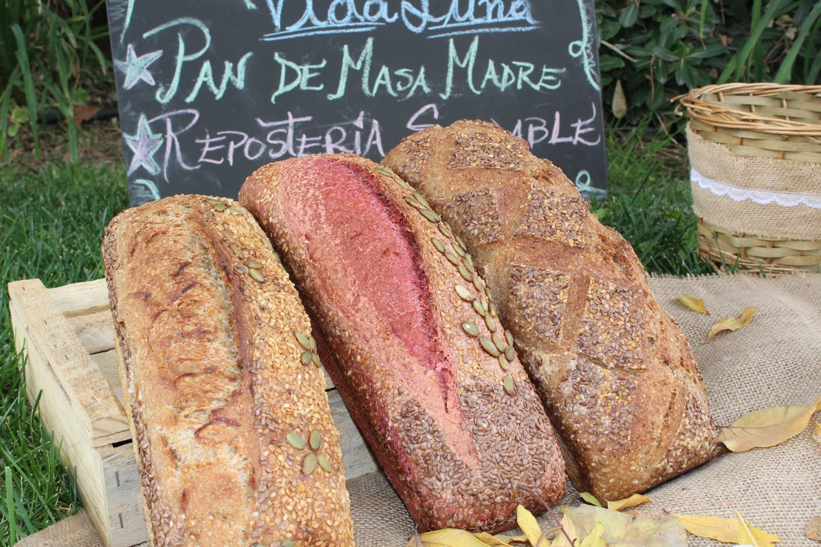 Como Se Hace Pan De Masa Madre - Catalog Library