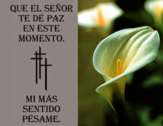 Sentido Pesame, Imagenes y Fotos - IMÁGENES PARA WHATSAPP ® y Fotos ...