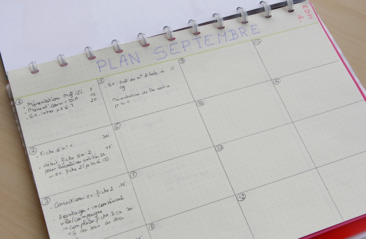 Zoom sur mon journal de bord de l'enseignant 2019-2020 ~ Petits ...