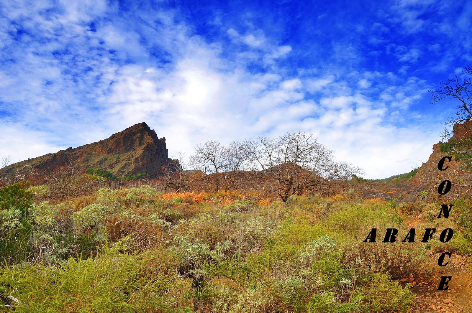 CONOCE ARAFO: SEÑAS DE IDENTIDAD DE ARAFO