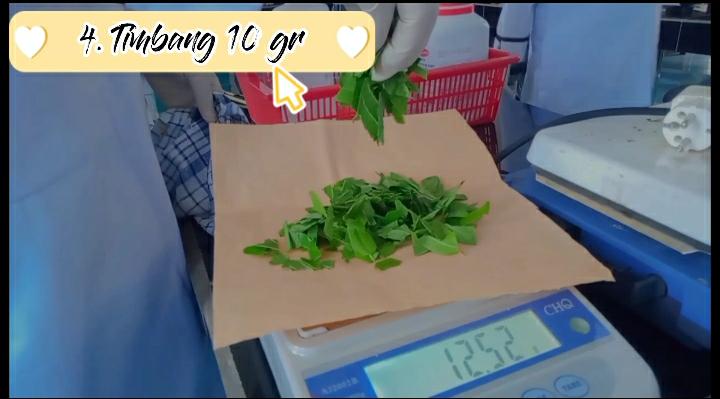 LAPORAN PRAKTIKUM FITOKIMIA " PEMBUATAN INFUSA PSIDII GUAJAVA DAN PIPER ...