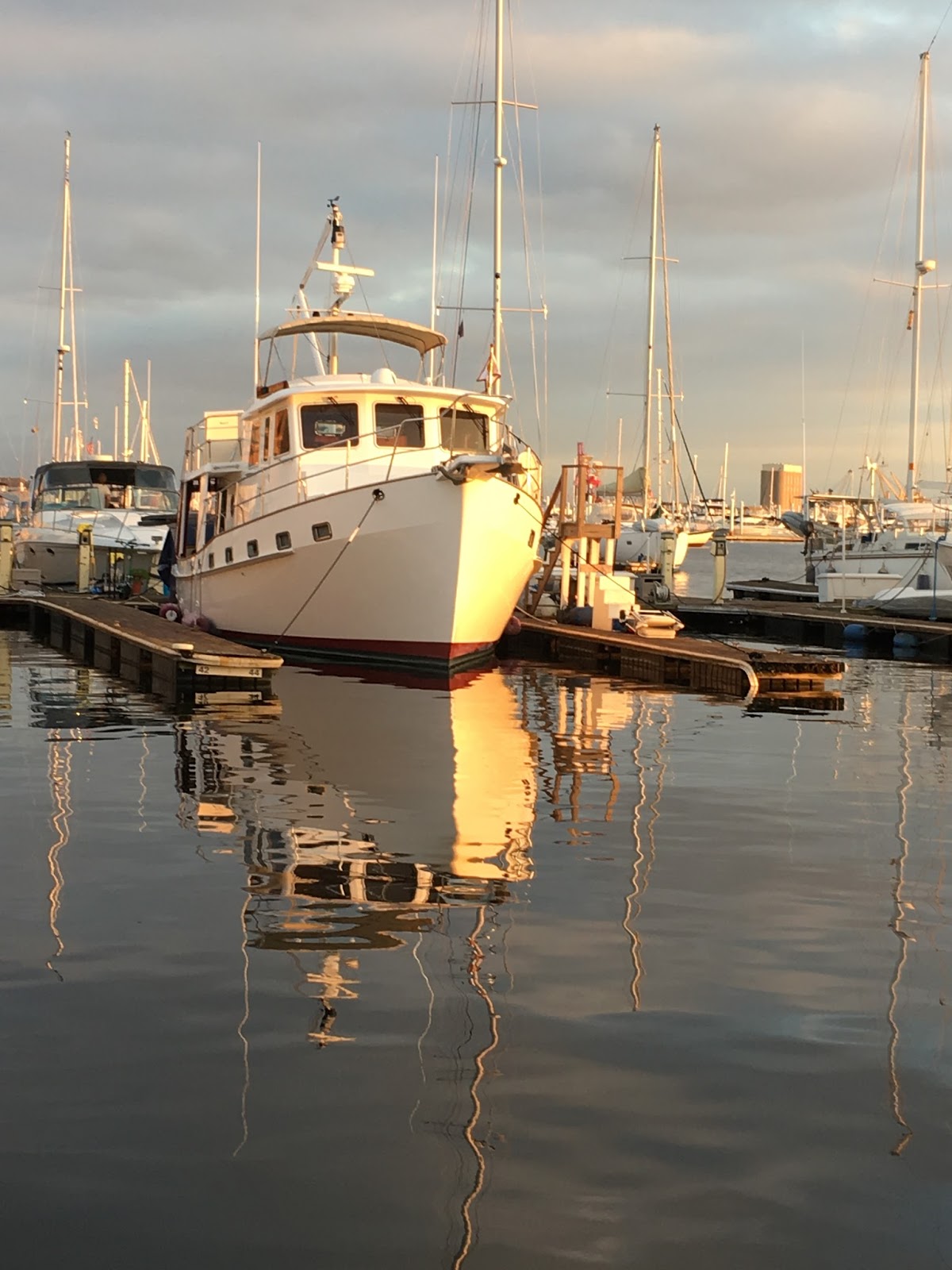 Travels with Vicki and Barry: Notes from Anchorage Marina, Baltimore