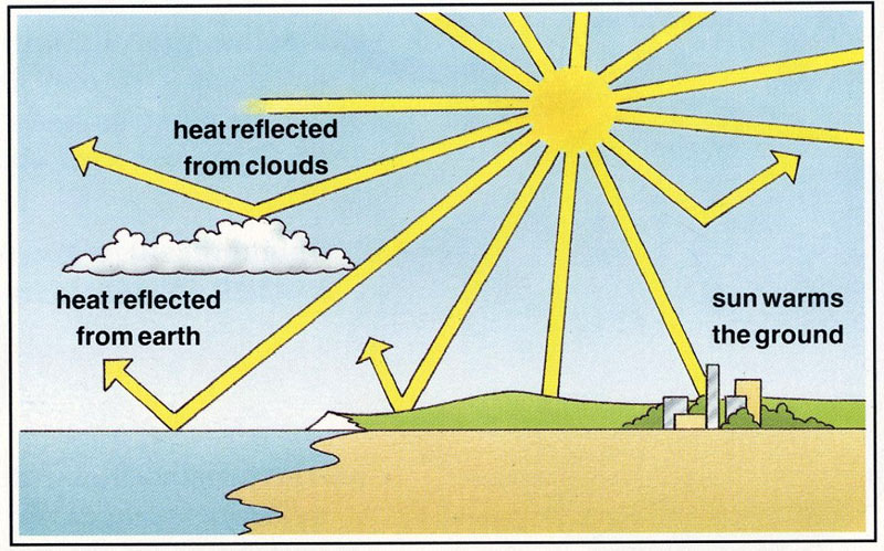 What is the weather?