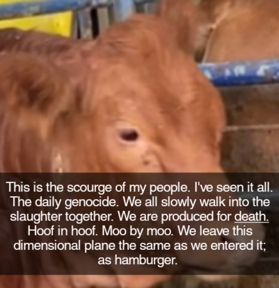 Christopher Keller: Beesechurger