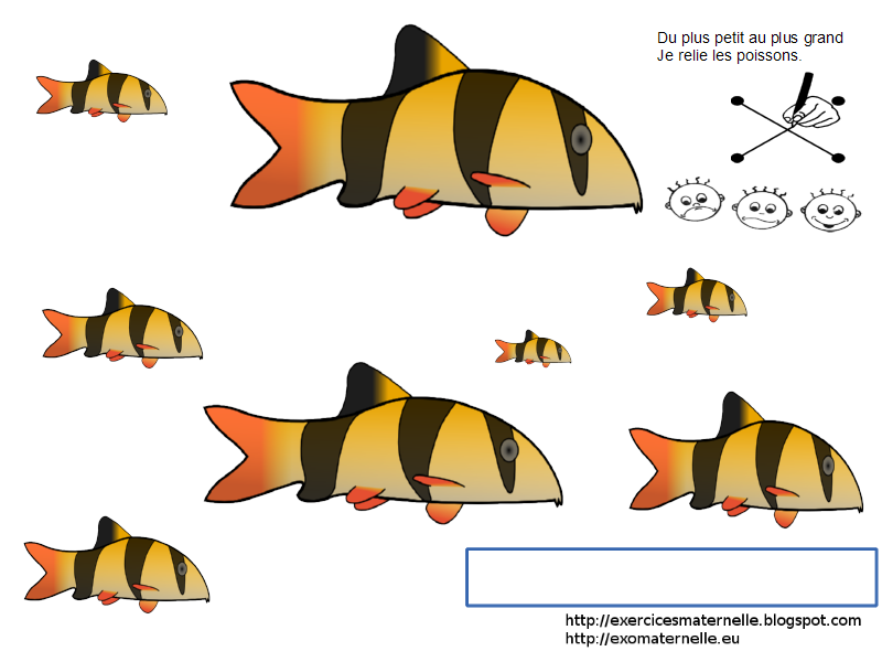 Maternelle: Plus grand plus petit avec des poissons et des coquillages
