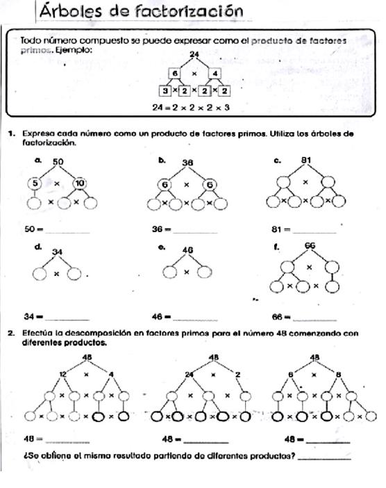 IMBC SEDE "D" - CUARTO - IV PERIODO: SEMANA DEL 16 -19 DE JUNIO