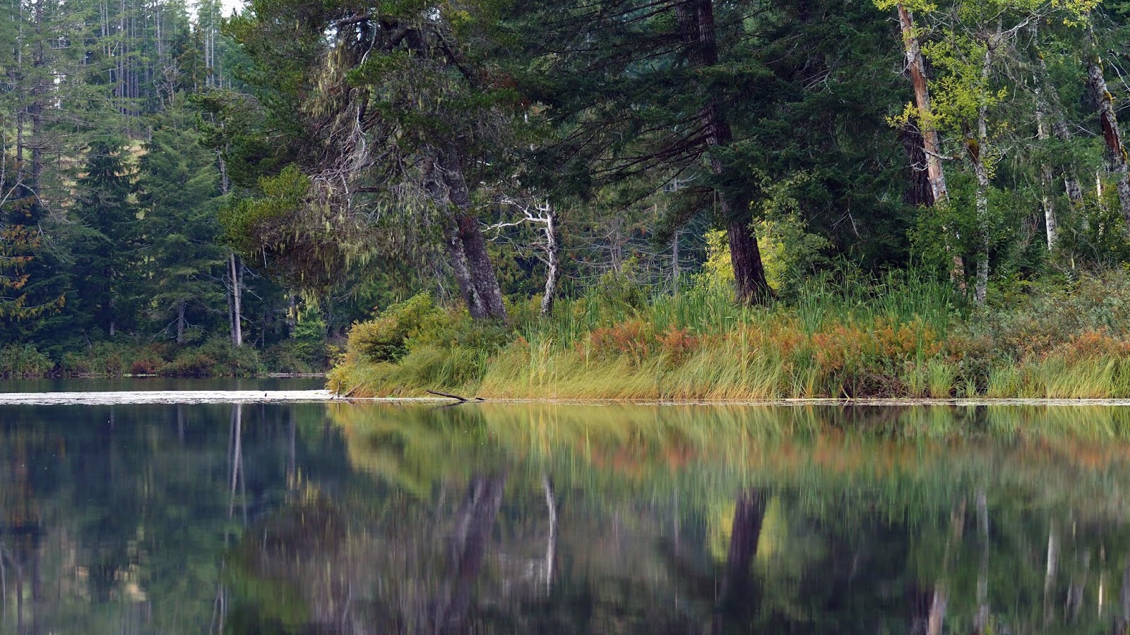 100 Lakes on Vancouver Island: Loon Lake