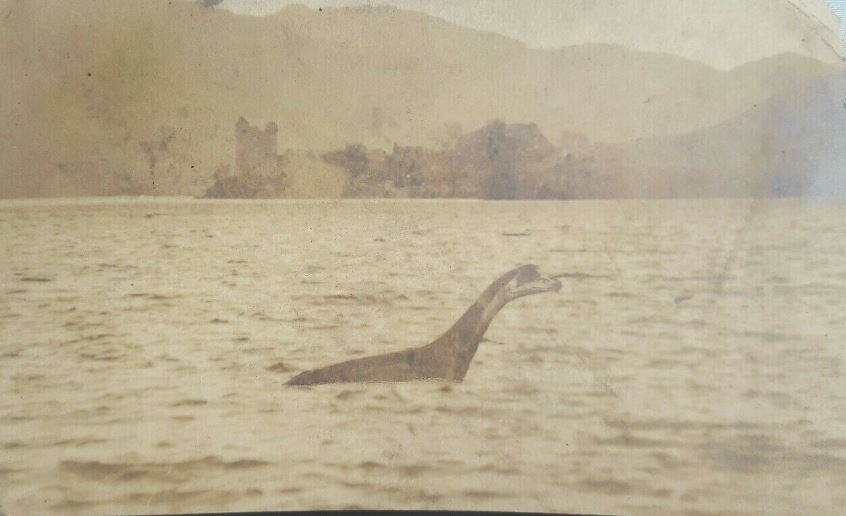 LOCH NESS MONSTER: The Surgeon's Photo and Long Necks