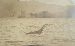 LOCH NESS MONSTER: The Surgeon's Photo and Long Necks