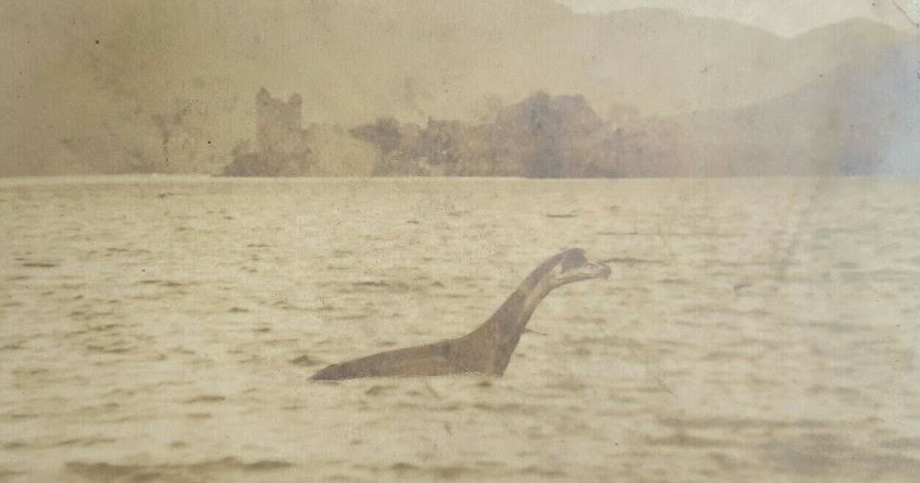 LOCH NESS MONSTER: The Surgeon's Photo and Long Necks