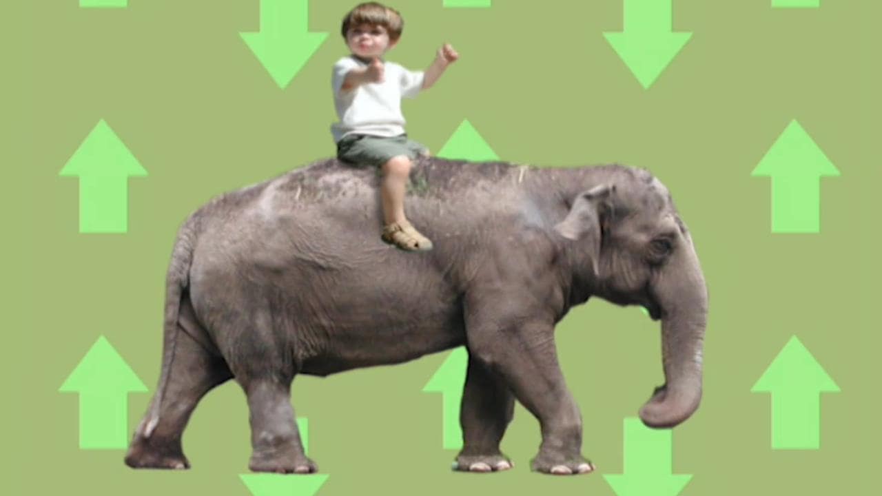 Elmo's World Up and Down