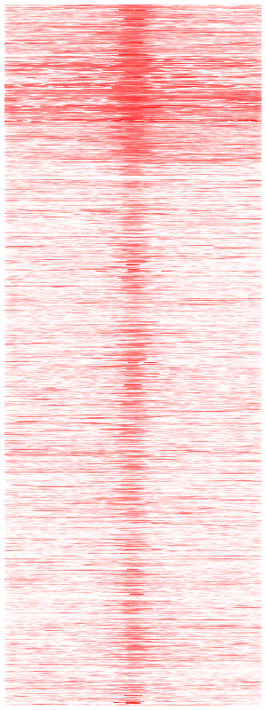 Diving into Genetics and Genomics: How to make a heatmap based on ChIP ...