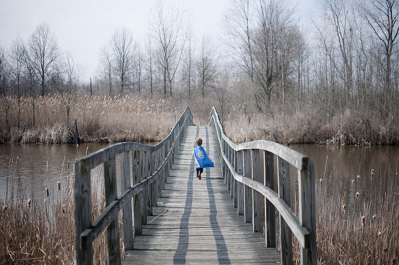 Go Take a Hike: Crosswinds Marsh Preserve (again) | Something Fun Every Day