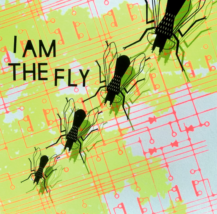 Die or D.I.Y.?: I Am The Fly - "I Am The Fly" (Self-Released 7" Single ...