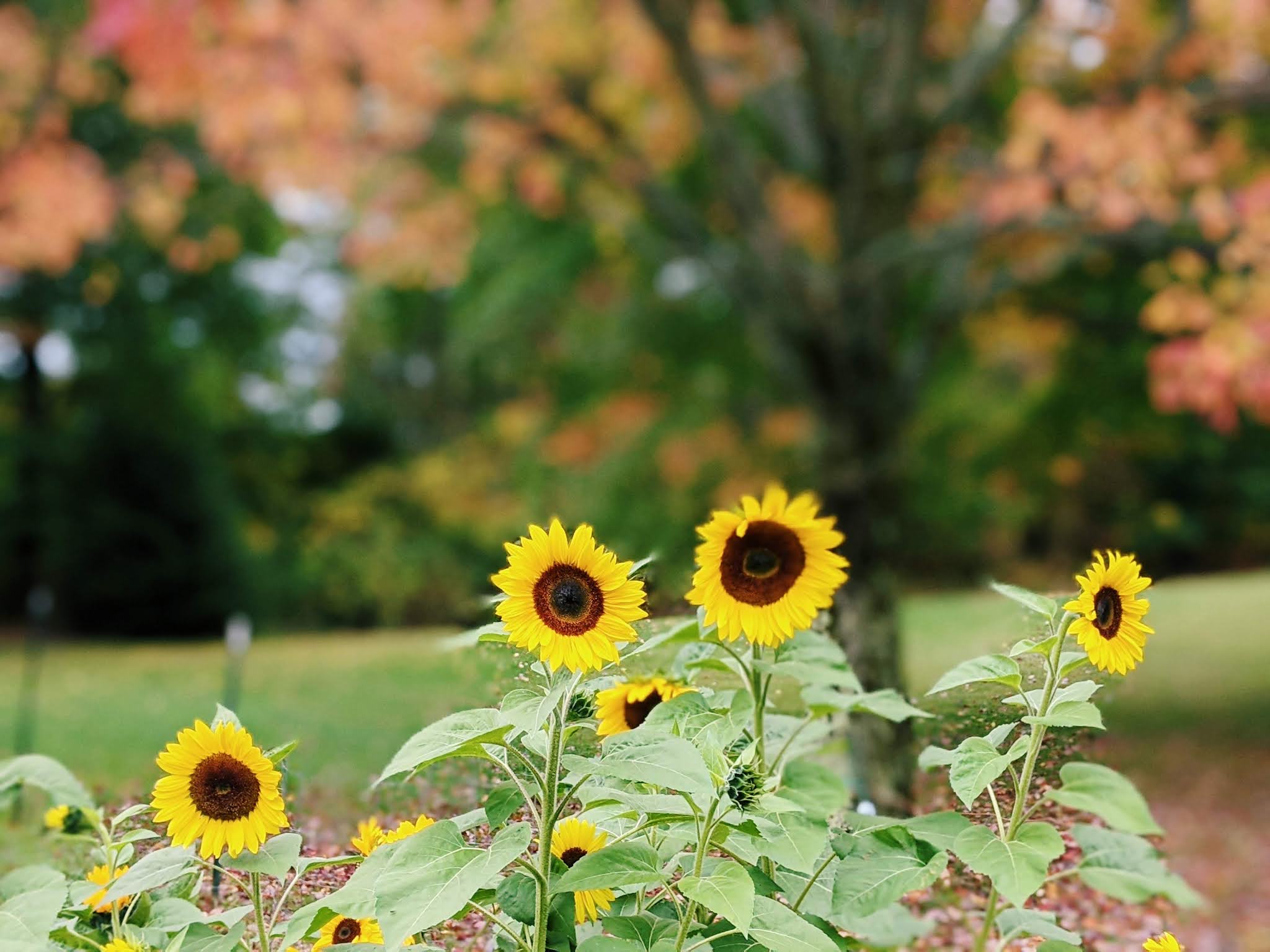 A Perfect Fall Weekend Photo Diary