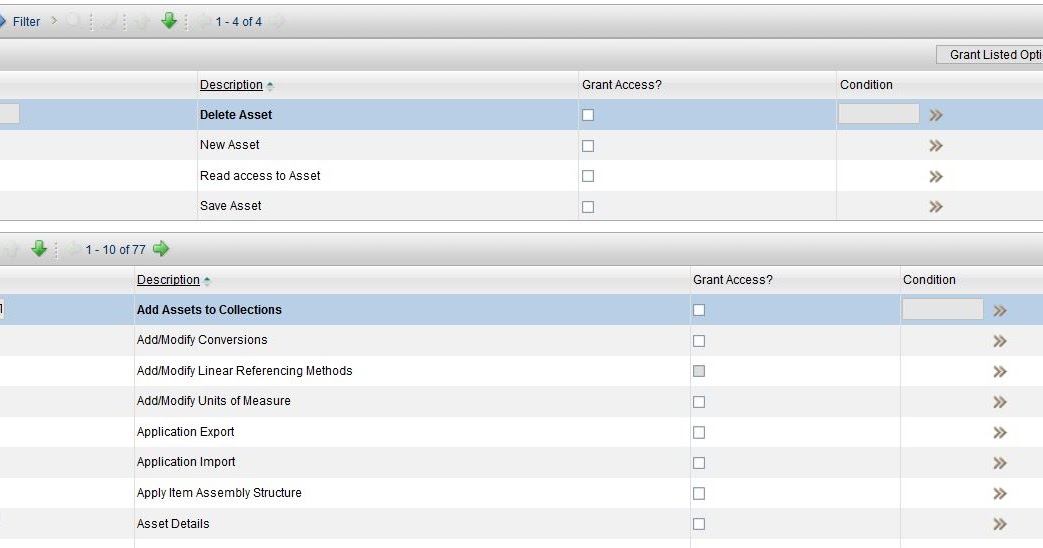 IBM Maximo Tips: Signature Option Name to be displayed in Security Groups