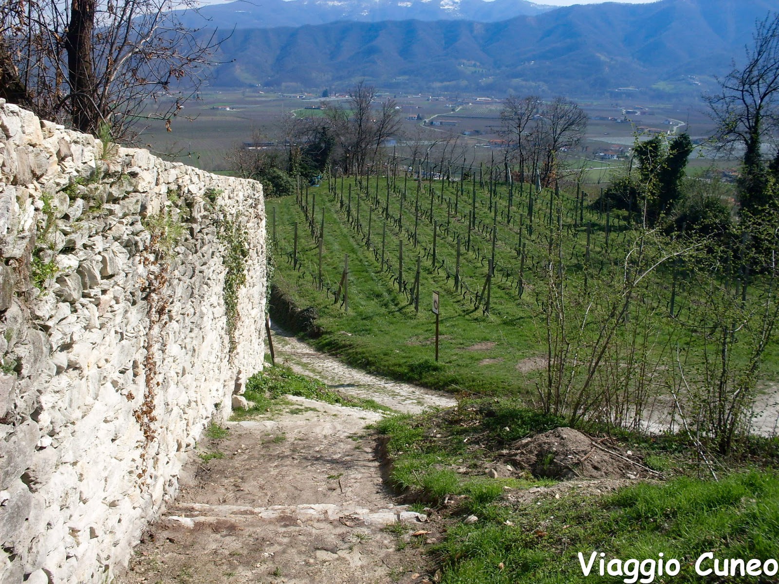 VIAGGIO CUNEO: LA STORICA COLLINA DI REVELLO