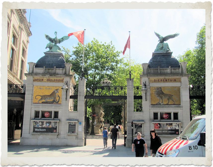 2024 - Une année pour moi: Une journée au zoo d'Anvers