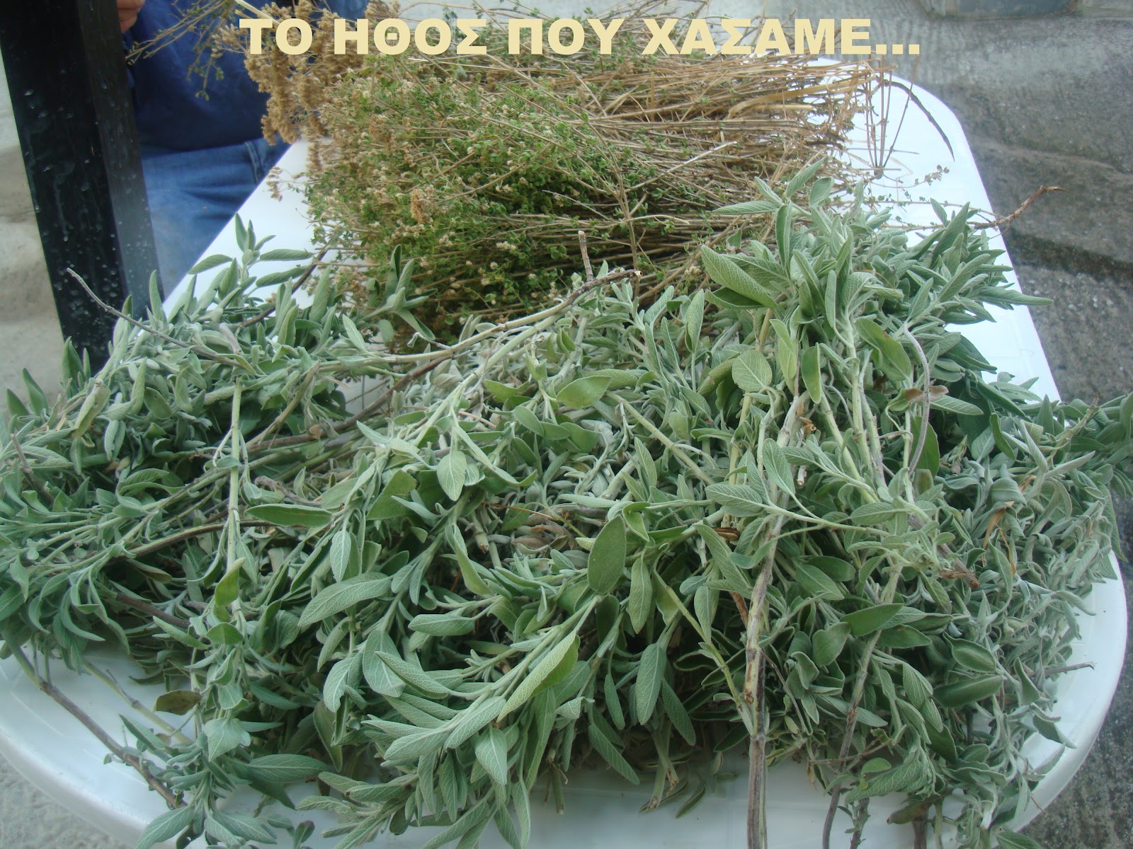 TΟ ΗΘΟΣ ΠΟΥ ΧΑΣΑΜΕ...: Βραστάρια...